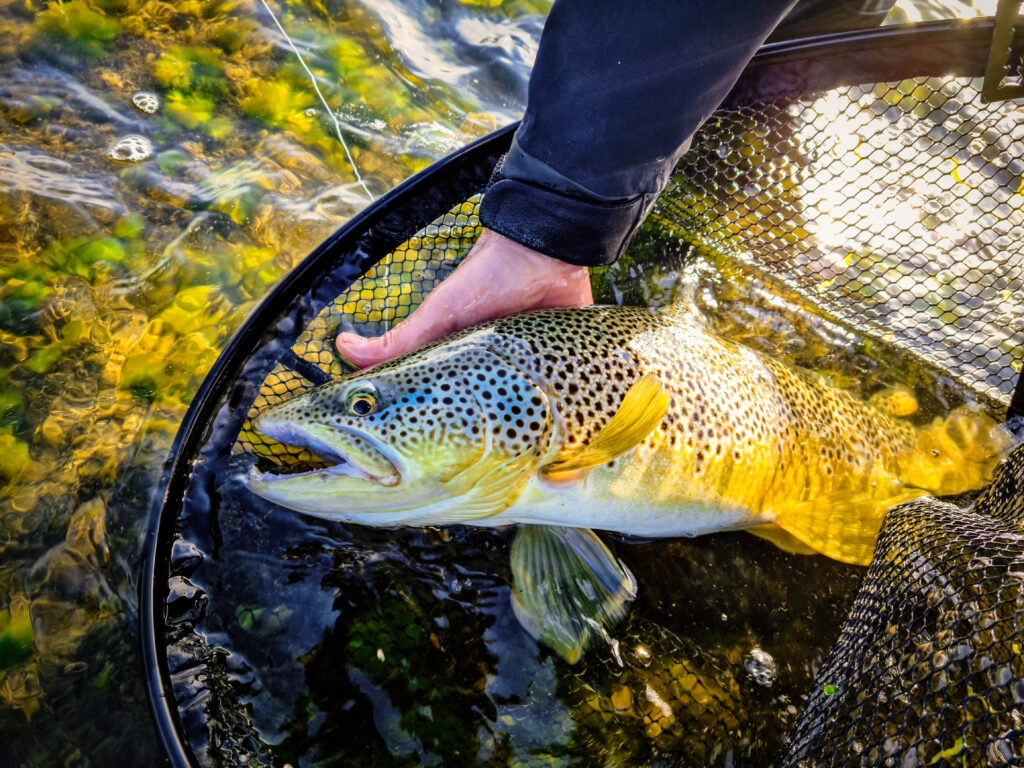 Full day Fishing Tour From Akureyri - Iceland Fishing Guide & Fly ...